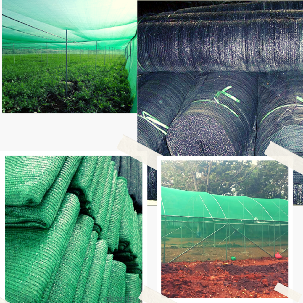 Shade Nets In Kenya - Greenhouses & Irrigation in Kenya